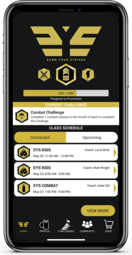 EYS – Earn Your Stripes